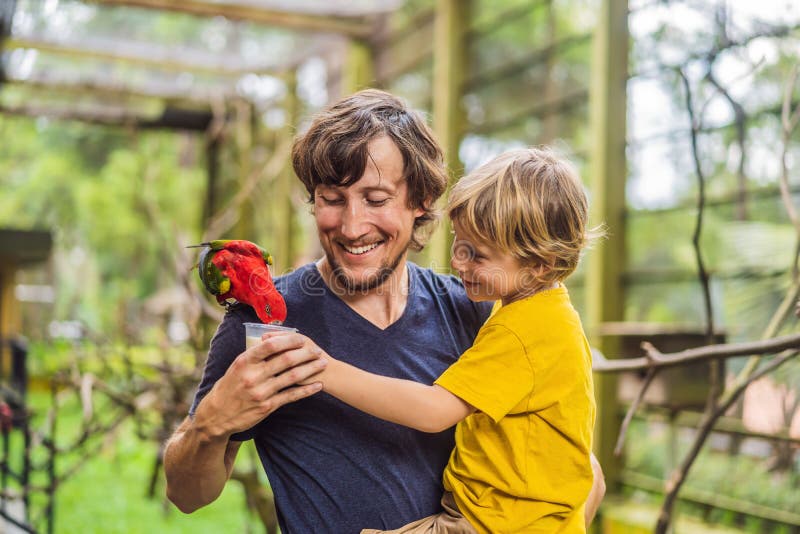 Dad and Son Feed the Parrot in the Park. Spending Time with Kids ...