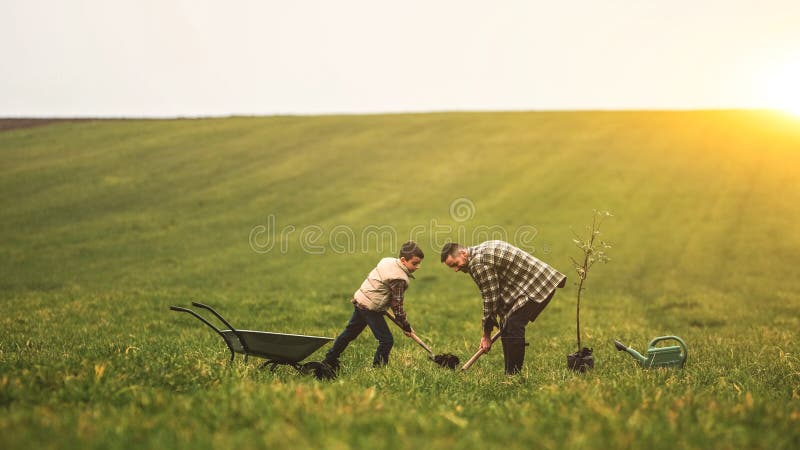 The Dad and Son Planting a Tree. Stock Image - Image of male, people ...