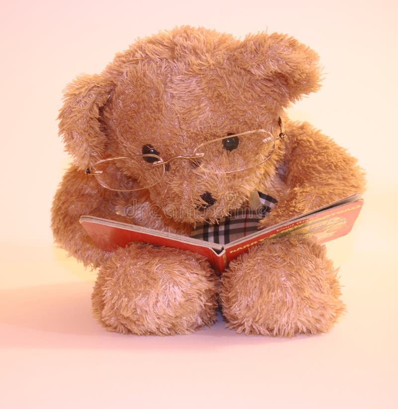 Daddy bear reading stock photo. Image of daddy, animal - 1971090