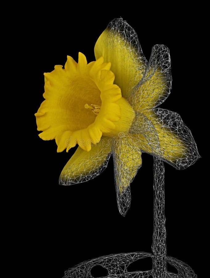 Wireframe Model of Storage Tank Stock Photo - Image of review, computer ...