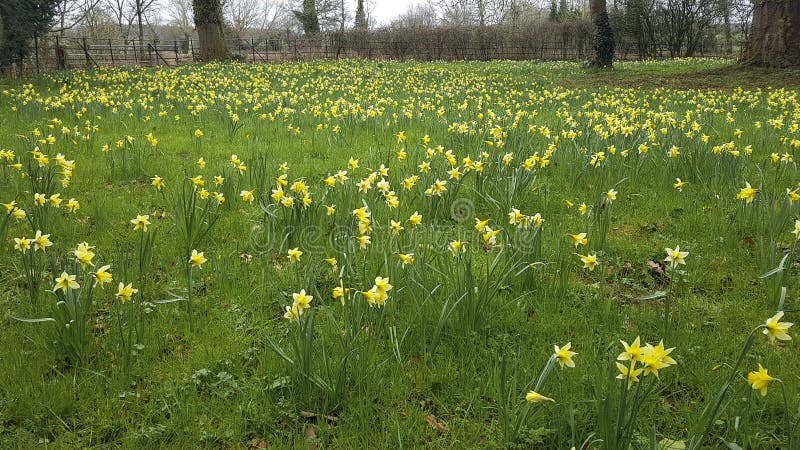 Dymock Gloucestershire Photos - Free & Royalty-Free Stock Photos from ...