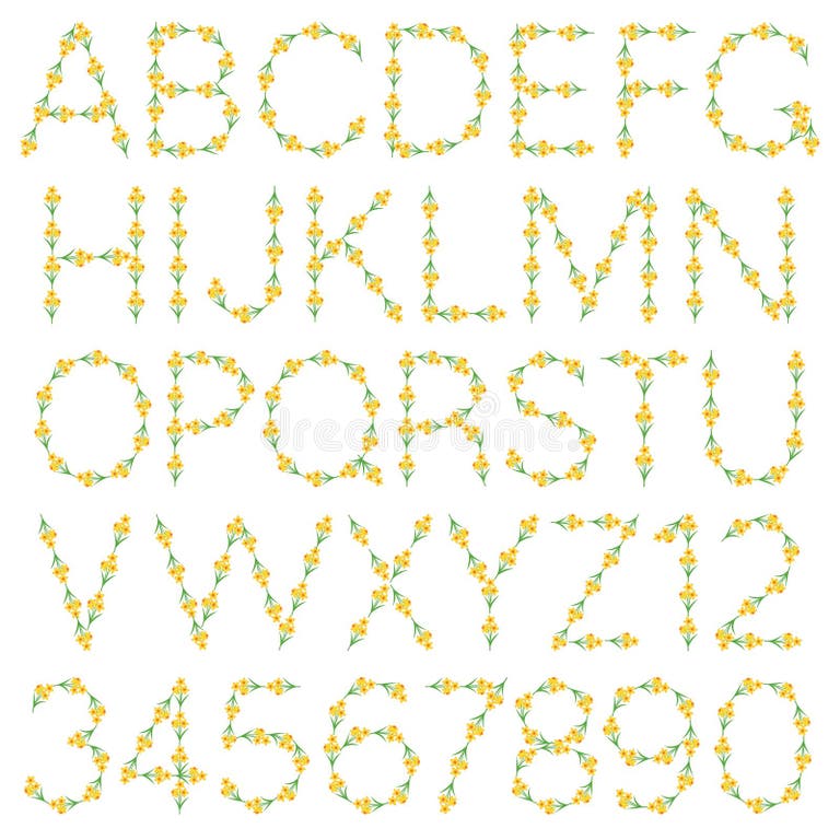 Daffodil Floral Vector Alphabet Stock Vector - Illustration of font ...