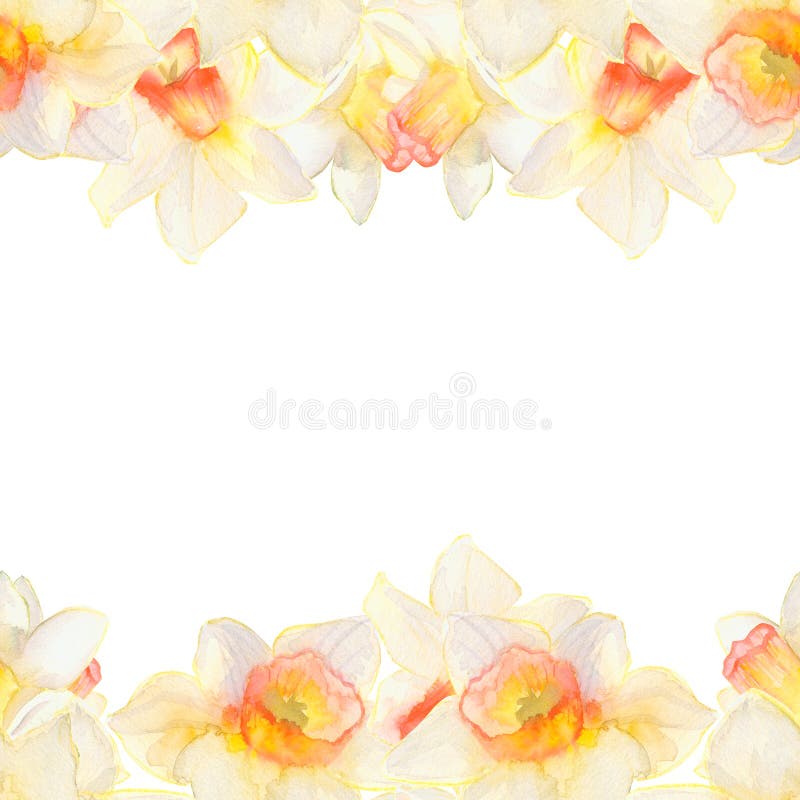 Daffodil Flower Horizontal Seamless Pattern. Endless Border of ...