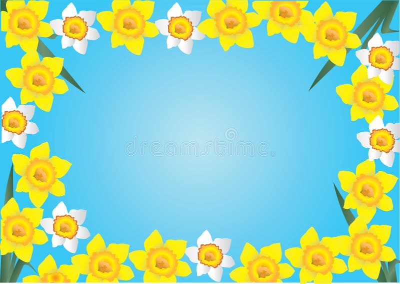Flower Daffodil Frame Isolated on White Background. Floral Decor. Stock ...