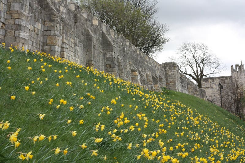 Colchester Castle in Spring Stock Photo - Image of bridge, stone: 23327240