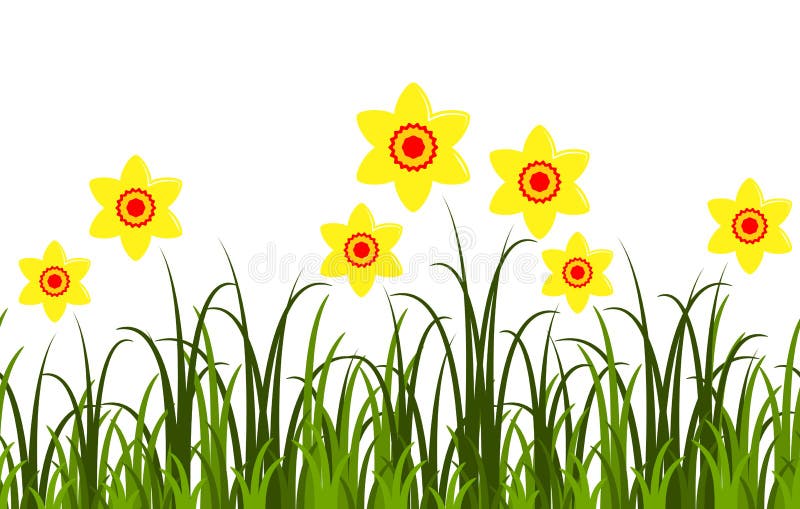 Daffodils border stock vector. Illustration of daffodil - 21496721