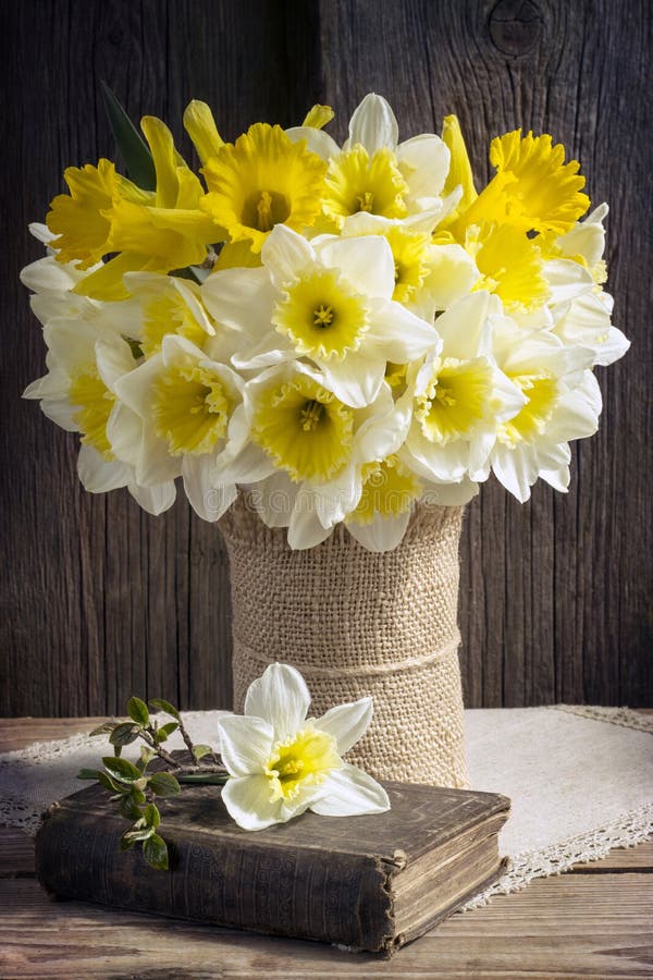 Daffodils bouquet stock image. Image of homy, flower - 70063267