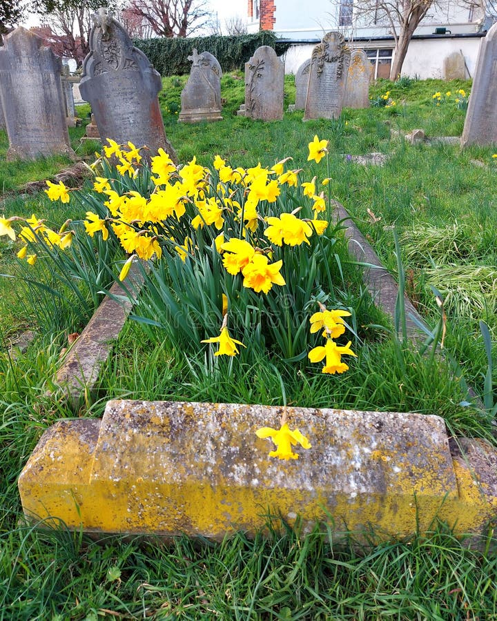 Old cemetery stock photo. Image of graves, city, urban - 11231130