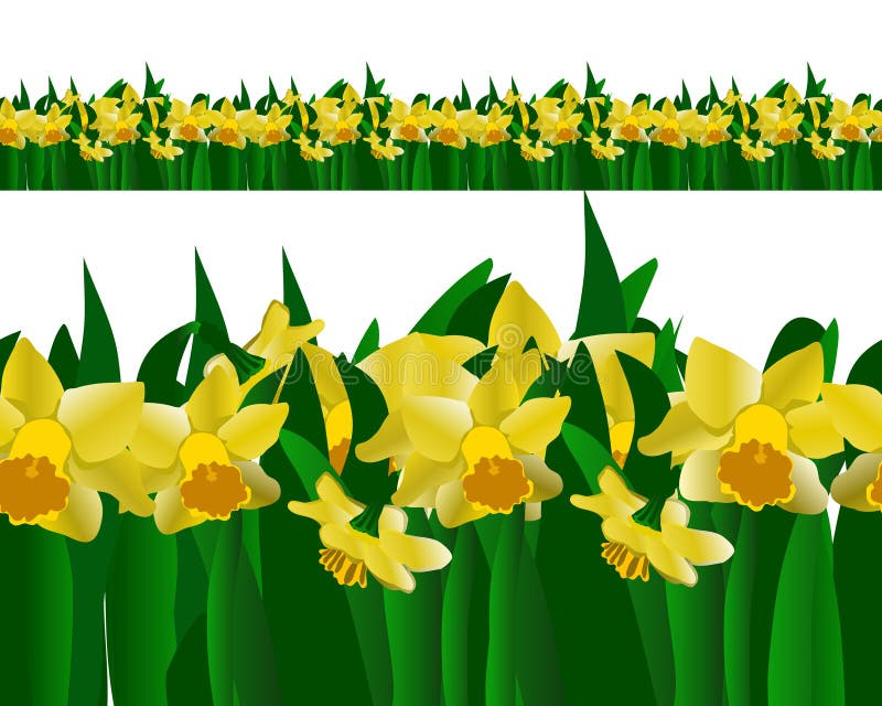 Daffodils Border Stock Illustrations – 399 Daffodils Border Stock ...