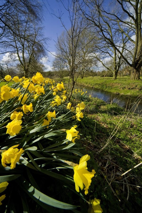 River Alne Stock Photos - Free & Royalty-Free Stock Photos from Dreamstime