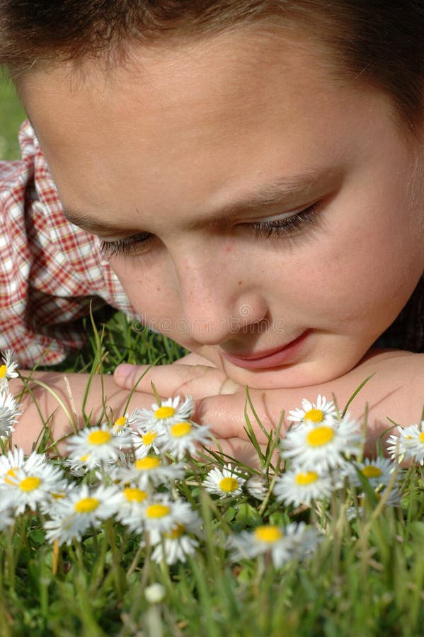 Dagdromen met madeliefjes stock foto. Image of kinderjaren - 2187156