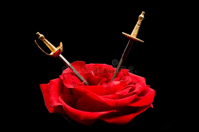 Daggers in a rose stock image. Image of hurt, blade, heart - 12665483
