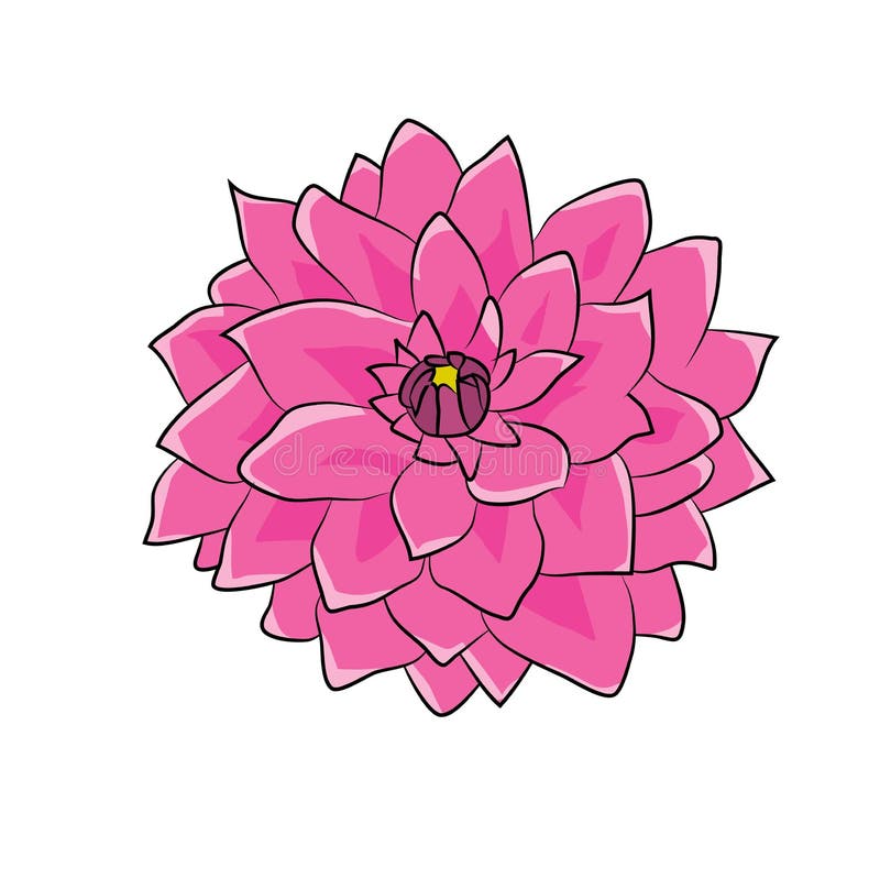 Dahlia flower cartoon stock illustration. Illustration of object - 48089875