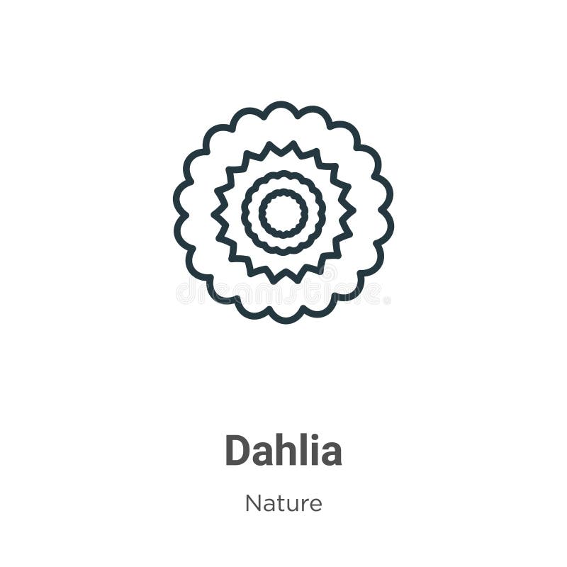 Dahlia Outline Vector Icon. Thin Line Black Dahlia Icon, Flat Vector ...