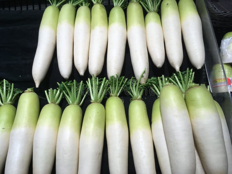 Daikon - Japanse radijs stock afbeelding. Image of vegetariër - 13960977