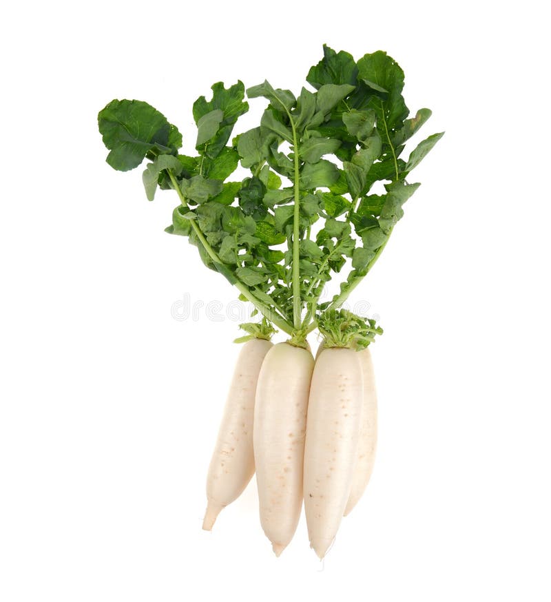 Daikon radishes stock image. Image of food, leaf, fresh - 29892993