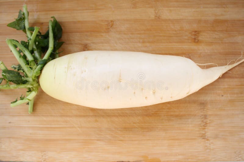 Daikon White Radish stock photo. Image of pattern, harvest - 28114926