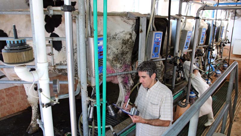 Dairy Business Management stock image. Image of clipboard - 25362469