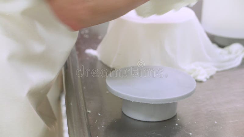 Dairy Factory Worker, Cheese Making Process, Putting Cheese Curd into ...