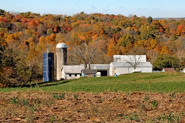Dairy Farm in Southern Ohio Stock Photo - Image of dairyland, crops ...
