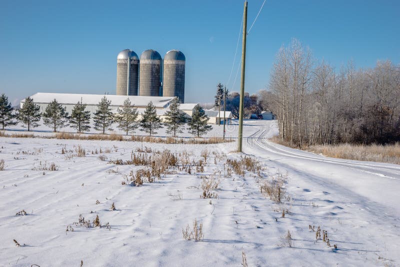 Dairy Farm in winter stock image. Image of blue, agriculture - 47380323