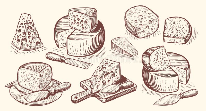Hand Drawn Cheese Set Sketch. Dairy Food Collection. Vector ... Hand Drawn Cheese Set Sketch. Dairy Food Collection. Vector ...