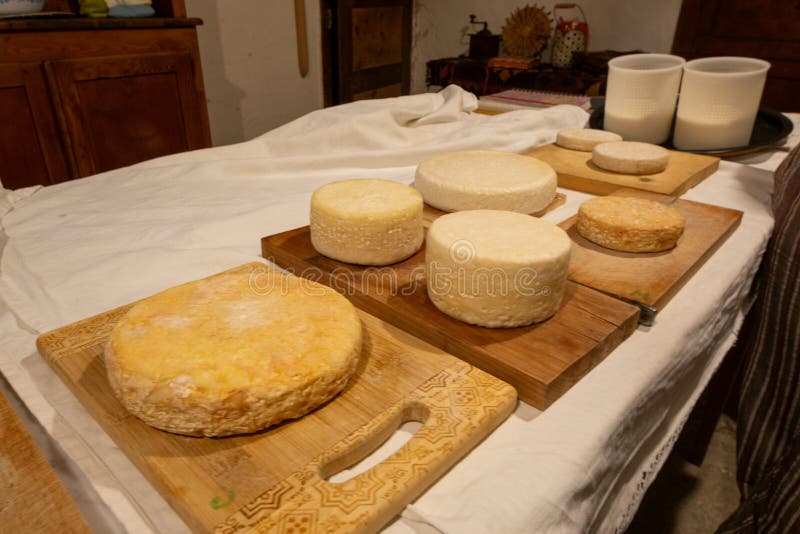 Dairy Goat Cheeses Artisanal Processing Modena Mountains Stock Photos ...