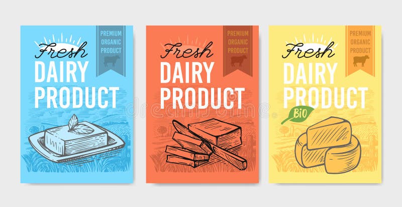 Dairy Products Package. Cheese Butter Stock Vector - Illustration of ...