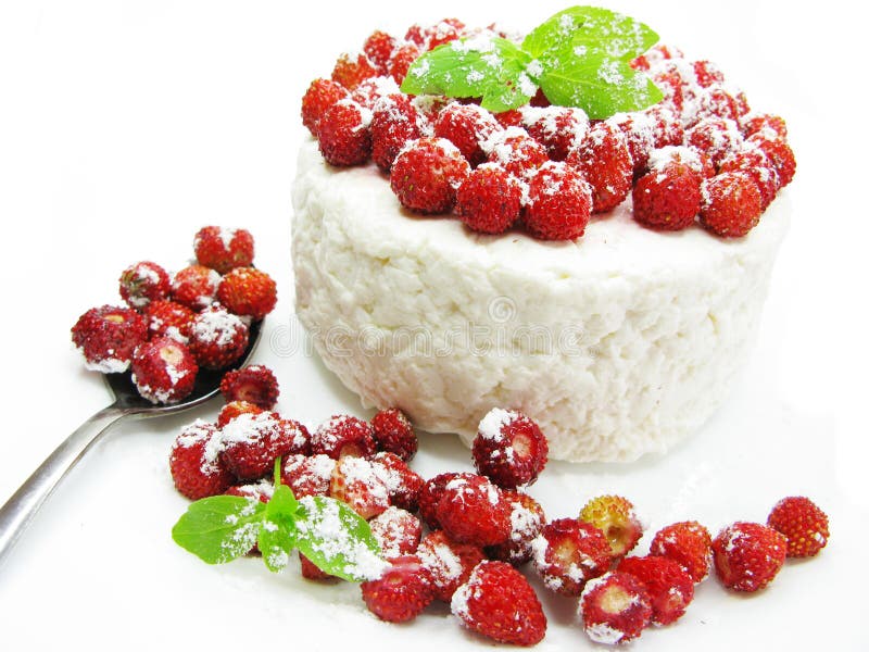 Dairy Pudding Dessert with Wild Strawberry Berries Stock Image - Image ...