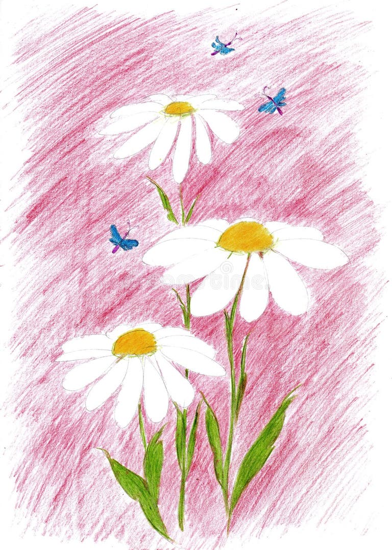 Three Daisies Stock Illustrations – 2,317 Three Daisies Stock ...