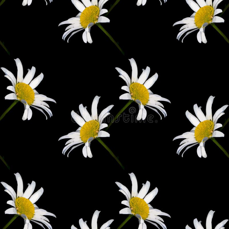 Daisies on a Black Square Background - a Pattern for a Site or Blog ...