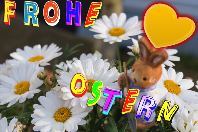 Daisies for Easter stock photo. Image of color, flora - 188720158