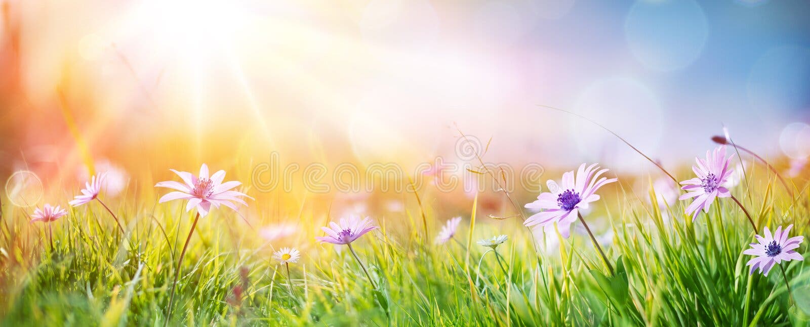 3,508,371 Spring Landscape Stock Photos - Free & Royalty-Free Stock ...