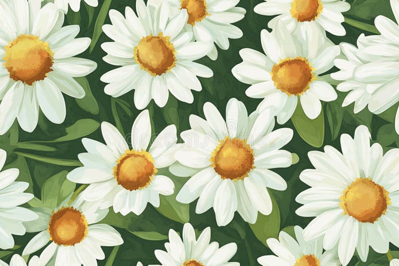 Daisies Graphic Pattern Clip Art Design Stock Illustration ...