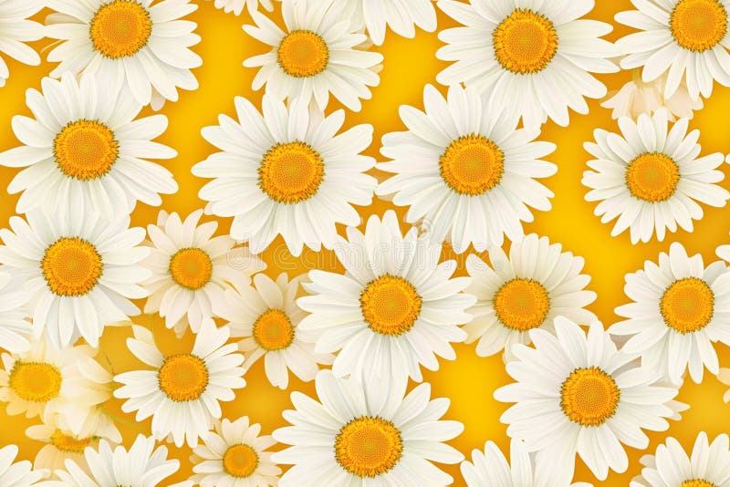 Daisies Graphic Pattern Clip Art Design Stock Illustration ...