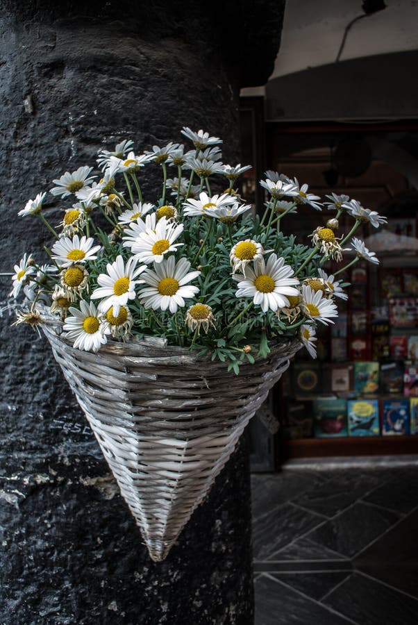 Two Cornucopia Inside the Square Stock Photo - Image of fruits ...