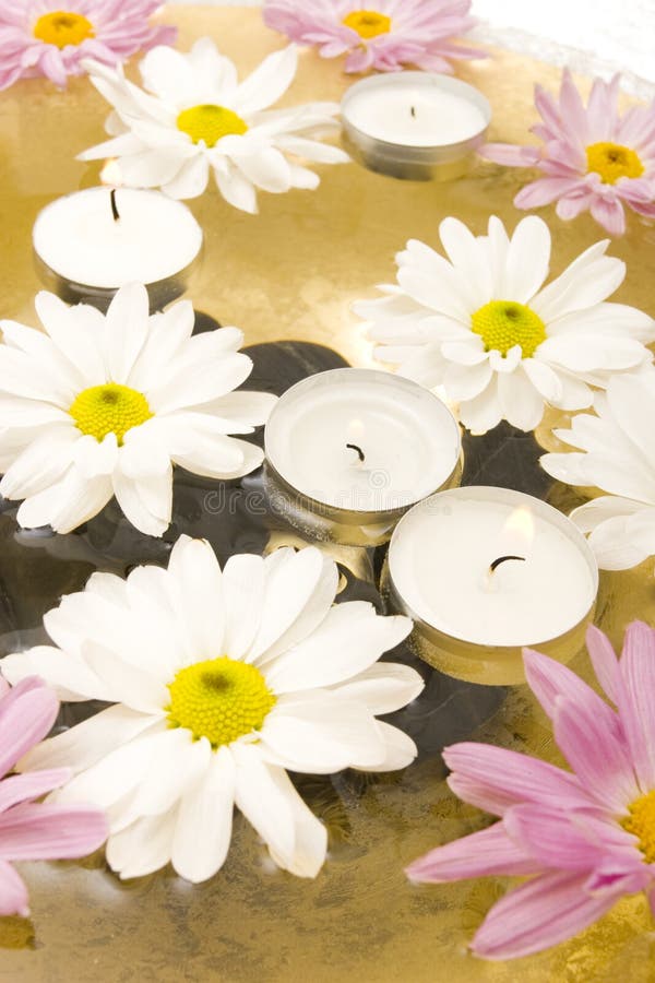 Daisies and spa candles stock image. Image of daisy, rock - 3530263