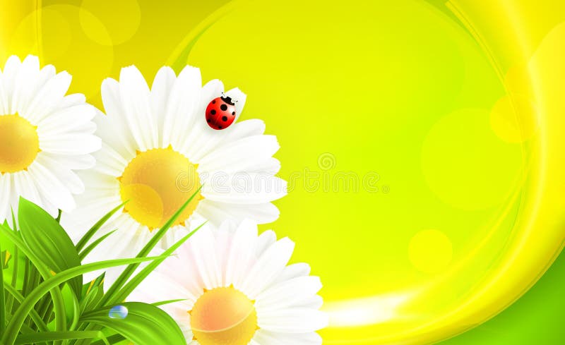 Daisy background stock vector. Illustration of wallpaper - 21200029