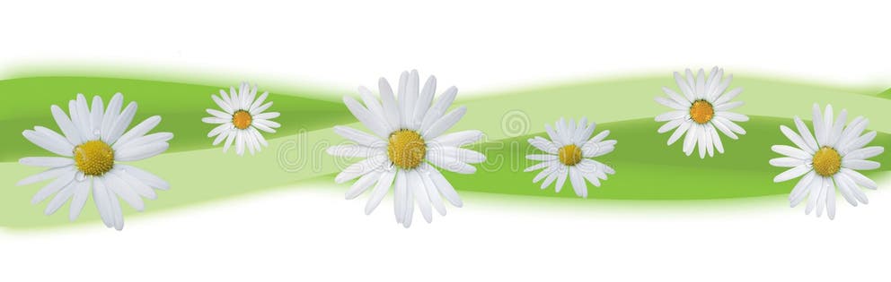 Daisy Banner Stock Illustrations – 28,866 Daisy Banner Stock ...