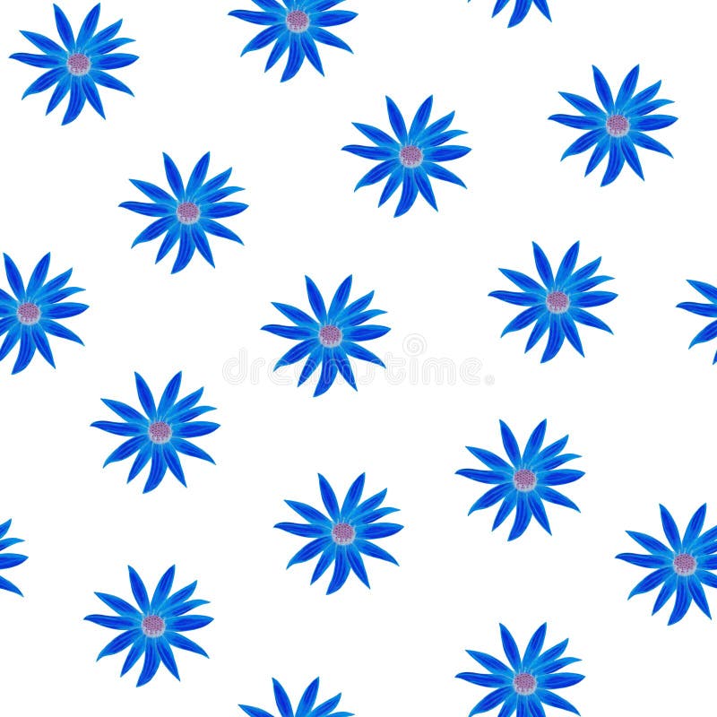 Daisy Blue Flower Seamless Pattern. Floral Digital Paper. Stock Image ...