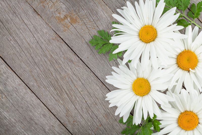 Rustic Background with Rusty Horseshoe and Bouquet of Daisies on Stock ...