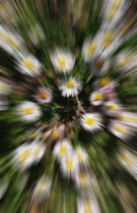 Daisy Chain Flowers Abstract Background Stock Afbeelding - Image of ...