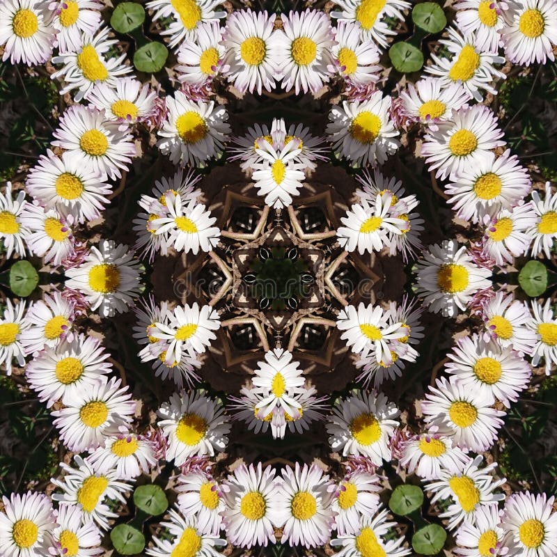 Daisy Chain Flowers Abstract Background Stock Afbeelding - Image of ...