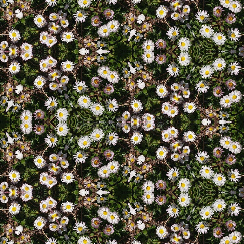 Daisy Chain Flowers Abstract Background Stock Photo - Image of chain ...