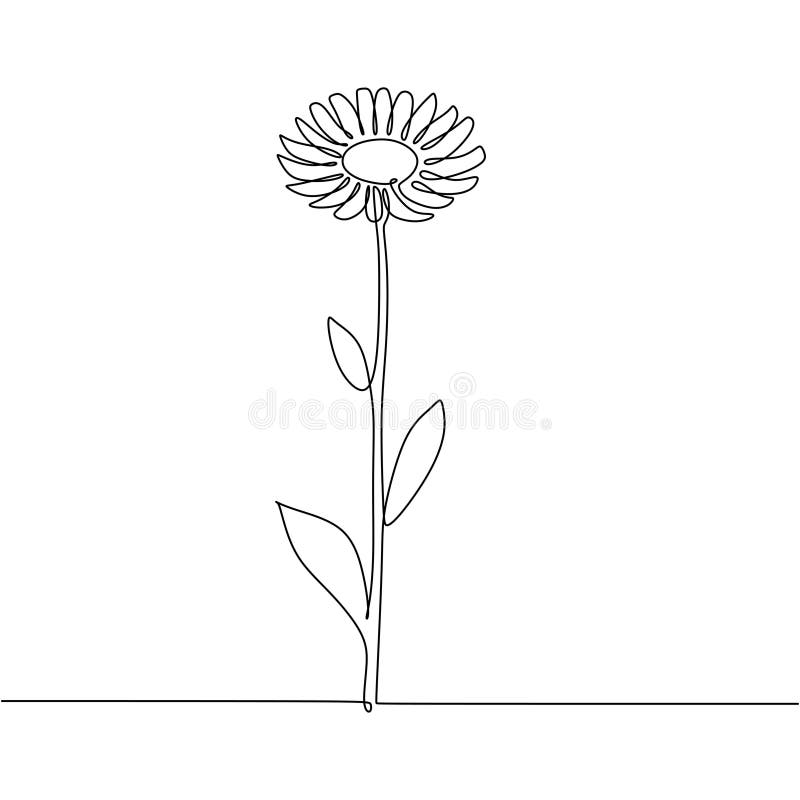 Daisy Flower Continuous One Line Drawing Stock Vector - Illustration of ...