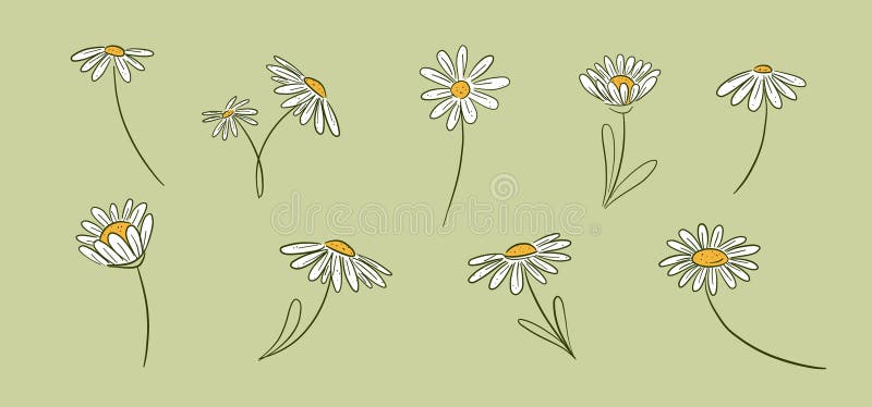 Daisy Flower Doodle Hand Drawn Vector Illustration Collection Stock ...