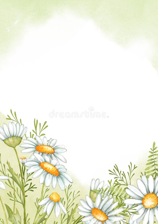 Daisy Flowers Invitation Card Template. Hand Drawn Illustration with ...