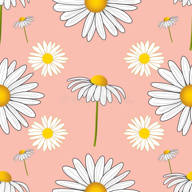 Daisy Flowers Vector Seamless Pattern on Pink Background Stock Vector ...