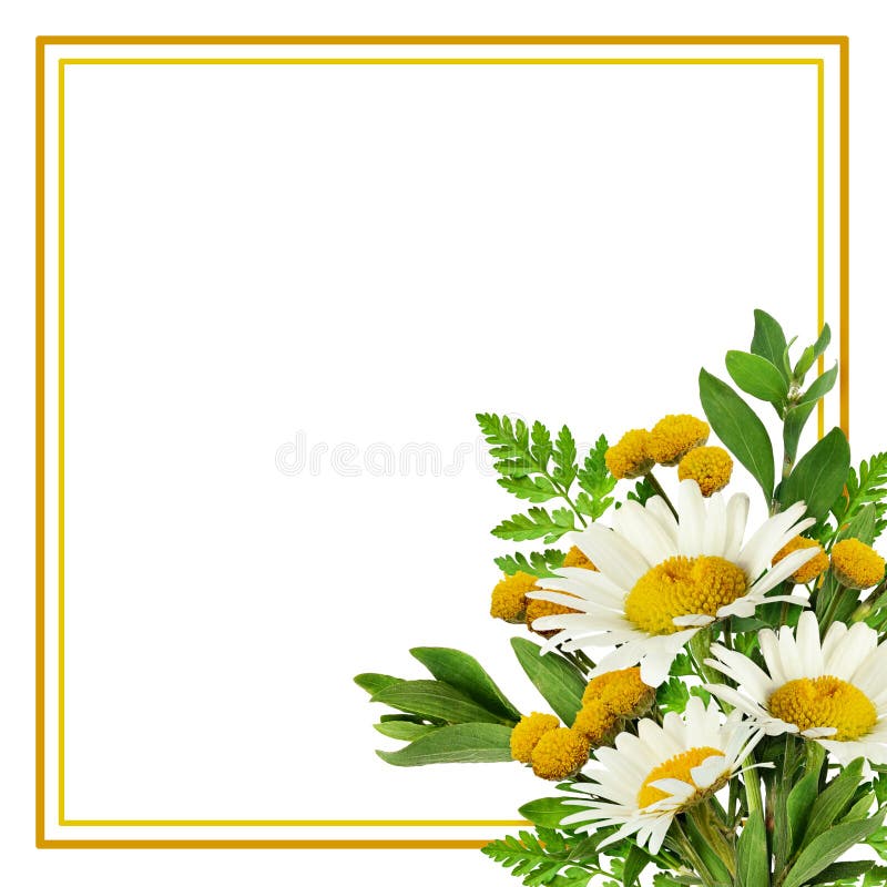 Daisy Flowers and Wild Grass in a Corner Arrangement with Frame Stock ...