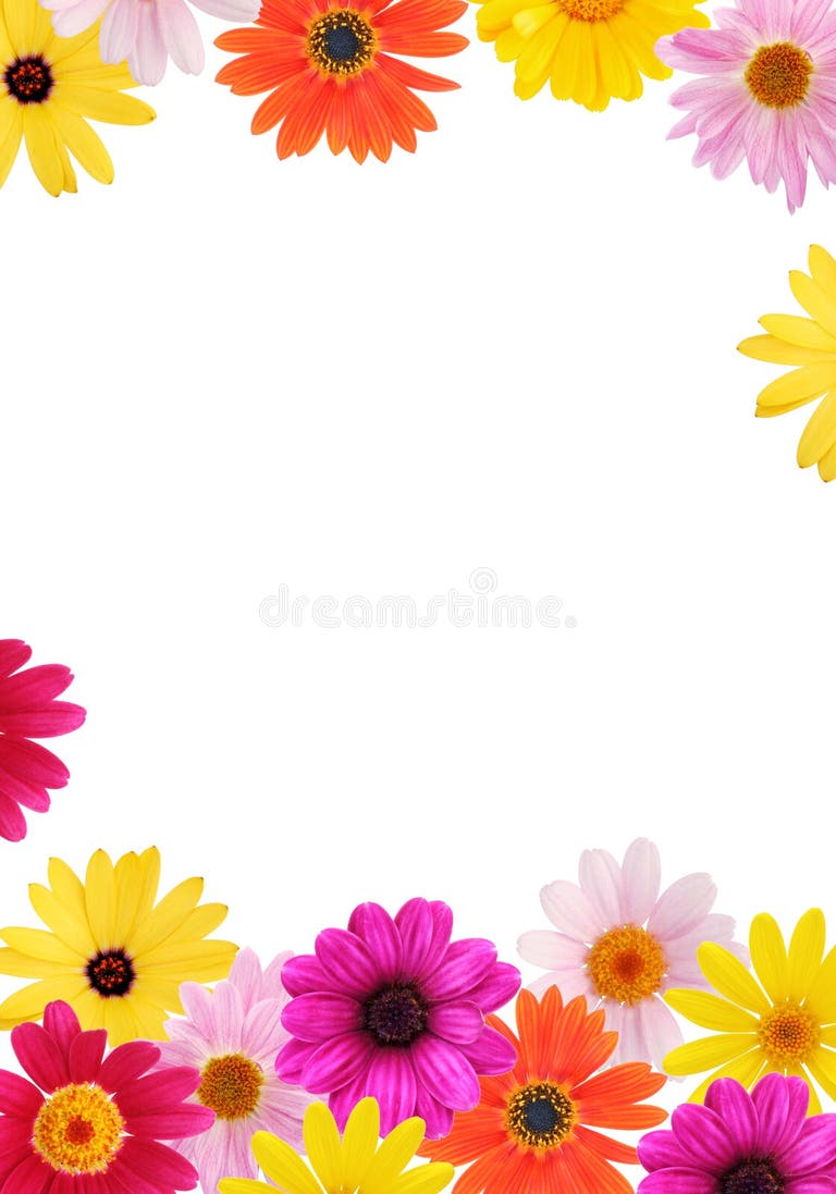 1,035 Purple Daisy Border Frame Stock Photos - Free & Royalty-Free ...